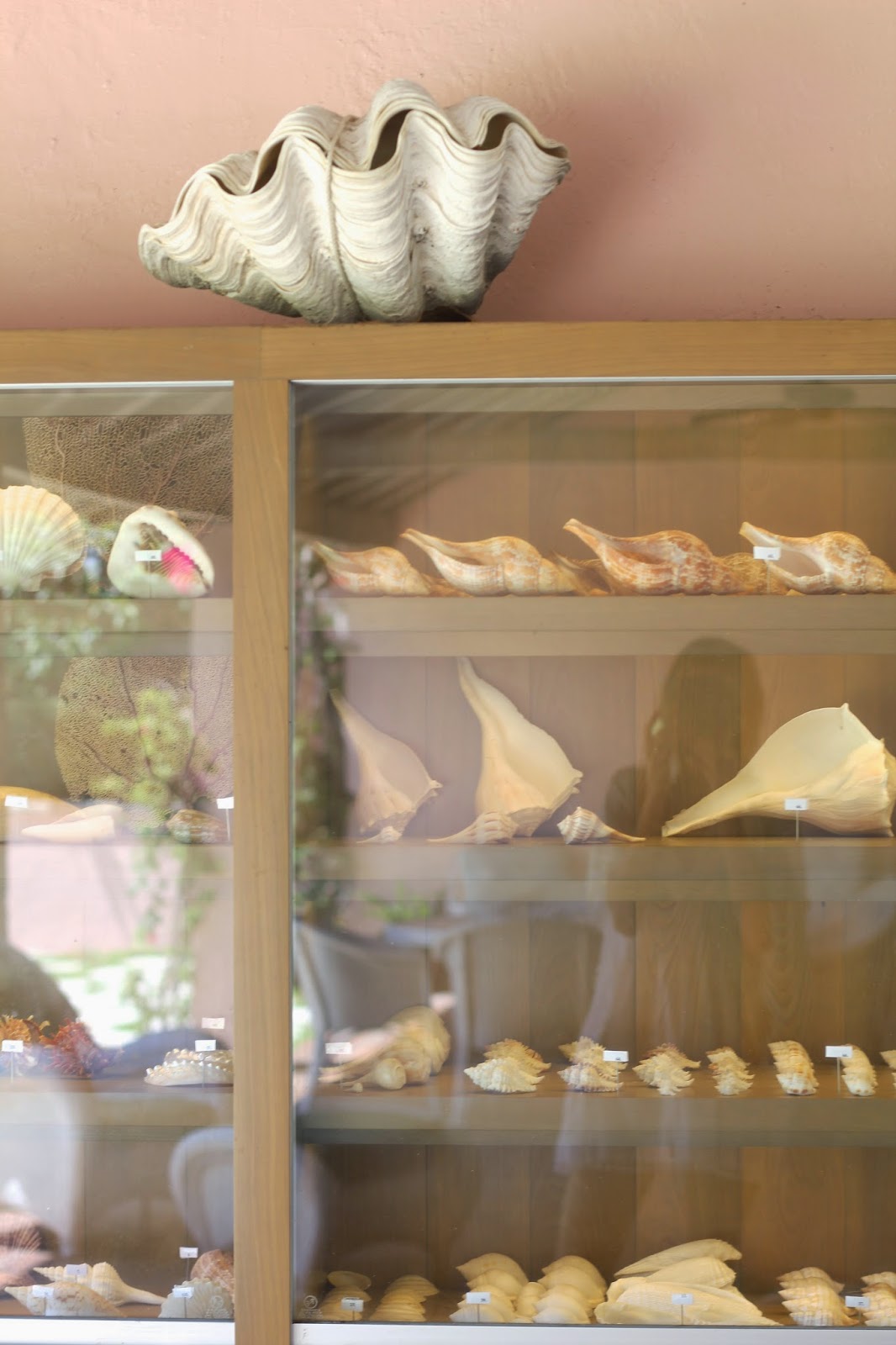 Boca Grande Library + our top books at the moment - Sarah Tucker