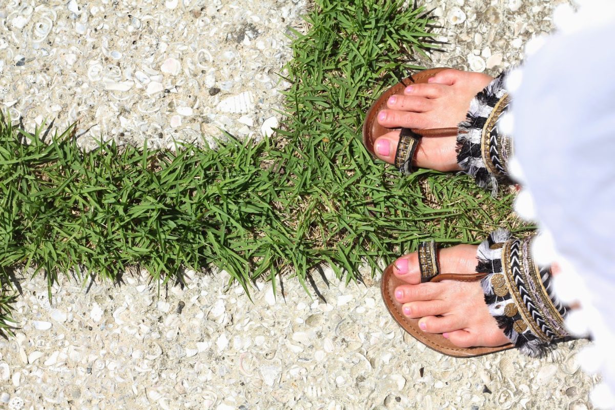 Boca Grande Library + our top books at the moment - Sarah Tucker