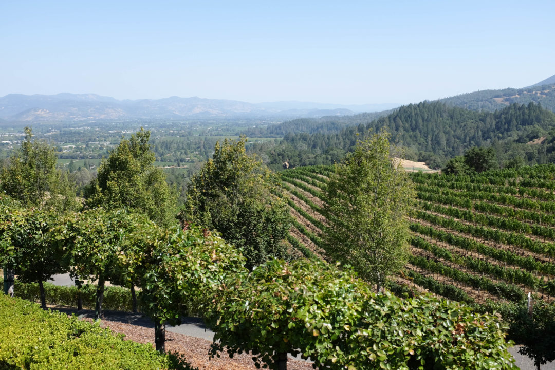 Napa Valley California Trip where to stay and what to do